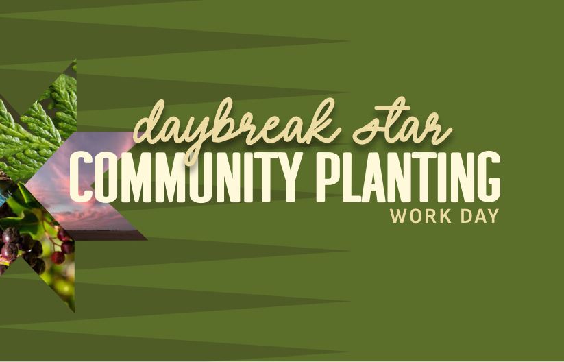 Daybreak Star Community Planting Work Days - Na'ah Illahee Fund